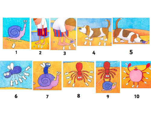 One is a snail ten is a crab - EYFS Reception - Addition / recording ...
