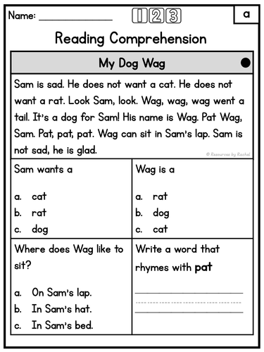 Reading Comprehension and Fluency Pack by rachieod - Teaching Resources ...