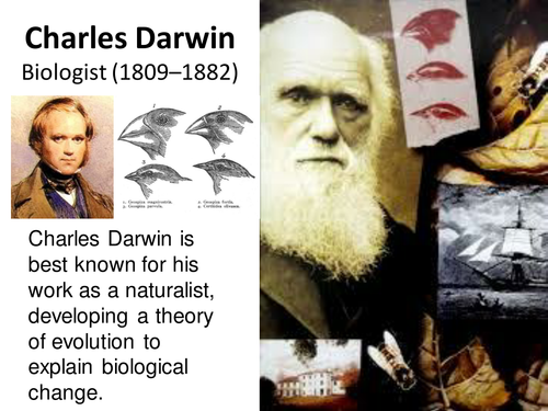Year 6 - Charles Darwin Evolution display by 4gnome - Teaching ...