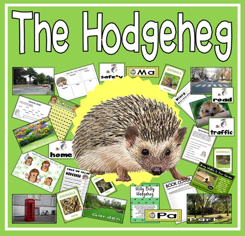 THE HODGEHEG STORY TEACHING RESOURCES EYFS KS1-2 HEDGEHOG ROAD SAFETY ...
