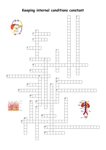 Homeostasis Crossword with solutions. by Embedagogy - Teaching ... Homeostasis Crossword with solutions. by Embedagogy - Teaching ...