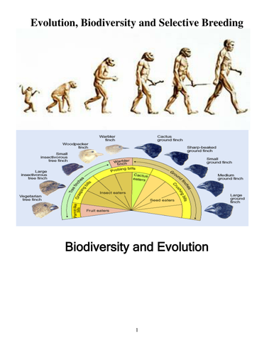 GCSE Food Chains, species, adaptations, selective breeding, evolution ...