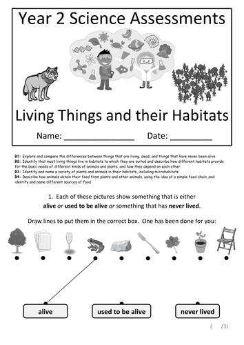 Year 2 Science Assessment: Living Things and Their Habitats by mrajlong ...