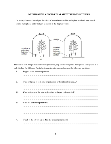 Investigating a factor that affects photosynthesis by jay5anum ...