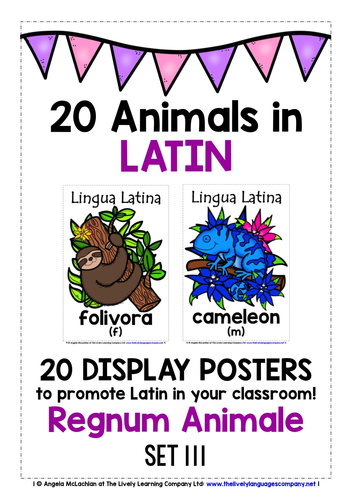 Secondary Latin language and literature teaching resources | TES