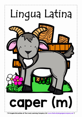 Secondary Latin language and literature teaching resources | TES