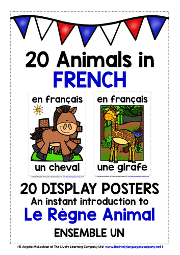 Primary languages teaching resources | TES