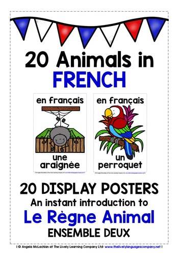 Primary languages teaching resources | TES