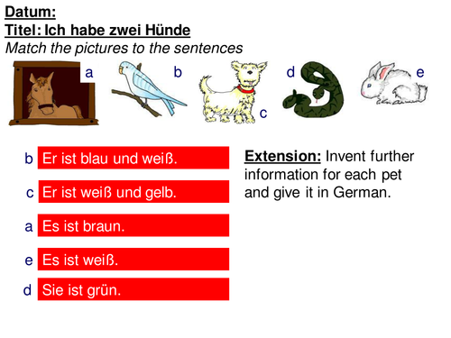 Primary German resources: animals and pets