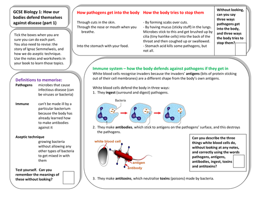 AQA B1 - Defence Against Disease revision notes by pand - Teaching ...
