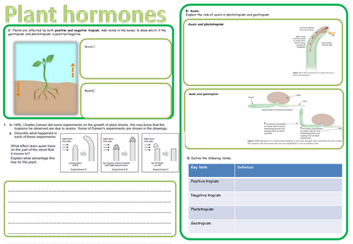 IGCSE plant hormones revision by kfmr20 - Teaching Resources - Tes