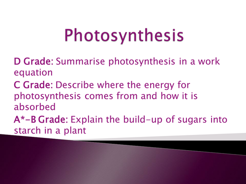 GCSE Photosynthesis | Teaching Resources