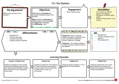 New Exploring Science 7C Muscles and Bones Example Lesson Plans ...