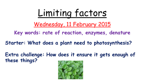 Limiting factors in photosynthesis | Teaching Resources
