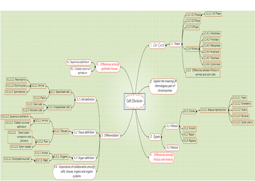 F211 Cell Division Mind Map by Darwin2009 - Teaching Resources - Tes