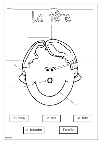 French - Facial Features - Worksheets by labellaroma | Teaching Resources