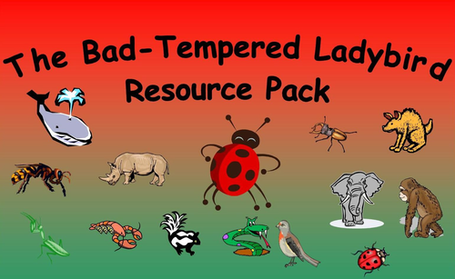 The Bad-Tempered Ladybird Resource Pack by bestprimaryteachingresources ...