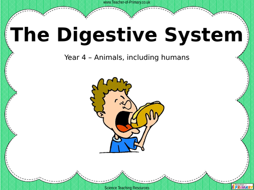 Digestion System: Introduction PowerPoint+Activity by - UK Teaching ...