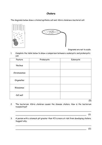 Biology: Cholera | Teaching Resources