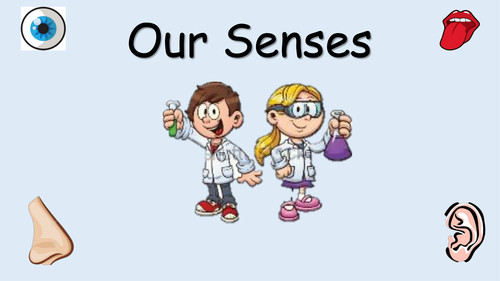 Senses Powerpoint KS1 | Teaching Resources