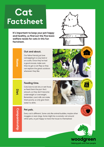 Pet Fact Files | Teaching Resources