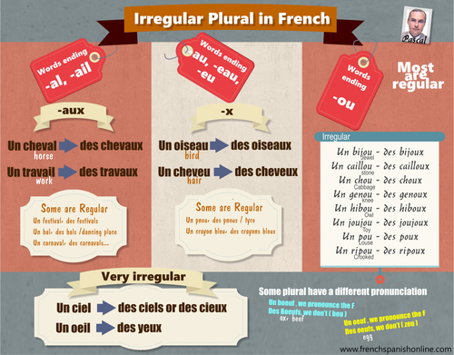 Irregular Plural in French | Teaching Resources