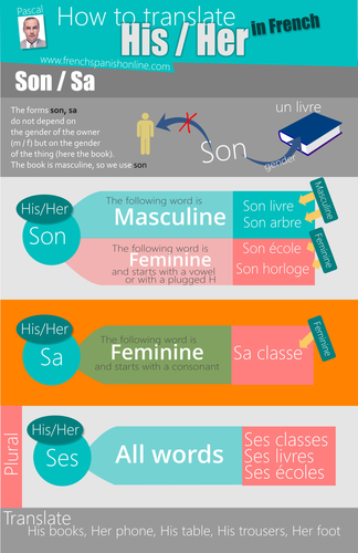How to say his in French | Teaching Resources