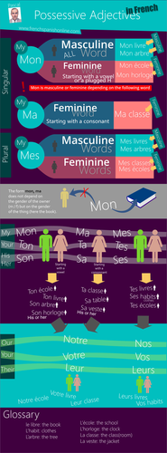 French Possessive Adjectives | Teaching Resources French Possessive Adjectives | Teaching Resources