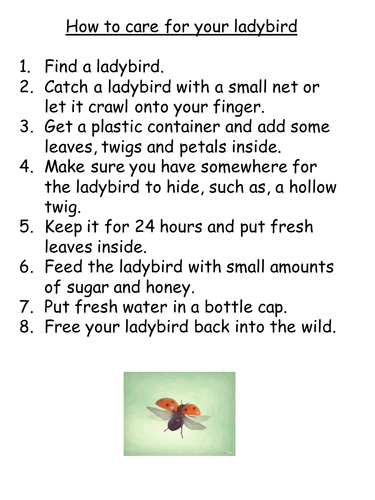 Minibeasts Instructions KS1 Year 2 by Miss_L - Teaching Resources - Tes