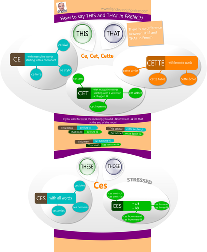 How to say THIS and THAT in French | Teaching Resources