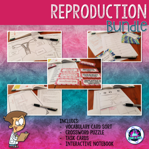 Human Reproduction BUNDLE | Teaching Resources