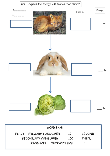 Energy Transfer in Ecosystems | Teaching Resources