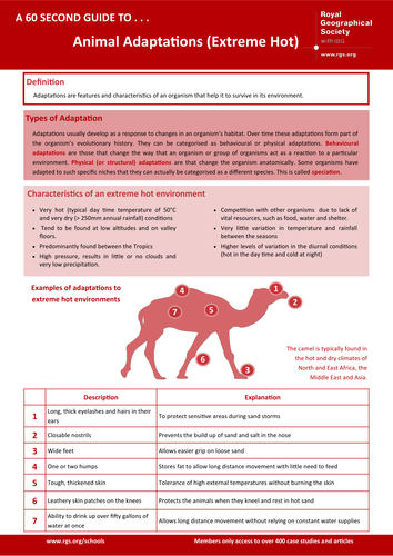 60 Second Guide - Animal Adaptation (Extreme Hot) | Teaching Resources