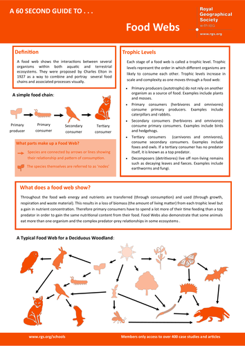 60 Second Guide - Food Webs | Teaching Resources