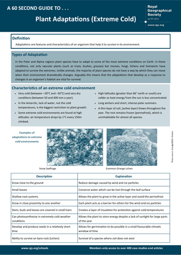 60 Second Guide- Plant Adaptations (Extreme Cold) | Teaching Resources