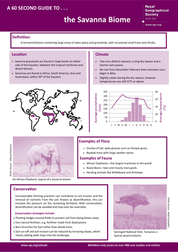 60 Second Guide- Savanna Biome | Teaching Resources