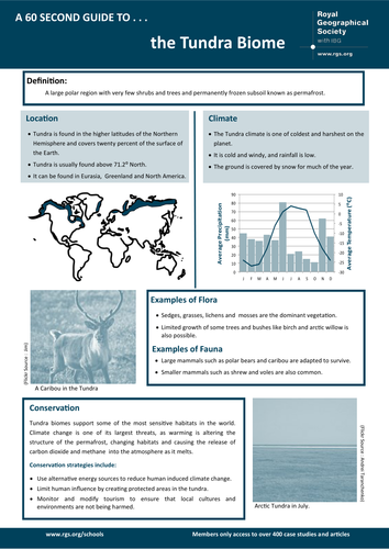 60 Second Guide- Tundra Biome | Teaching Resources