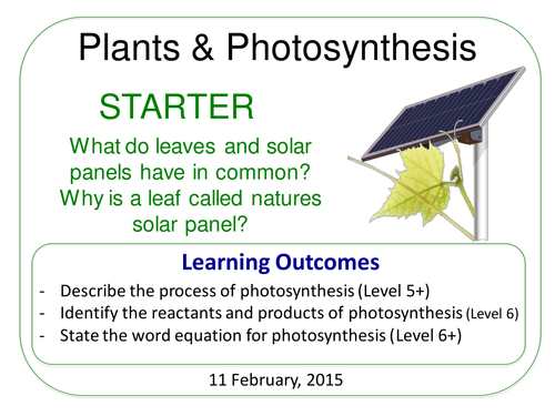 Complete Grade 6-12 Unit: Plants & Ecosystems (7.6) | Teaching Resources