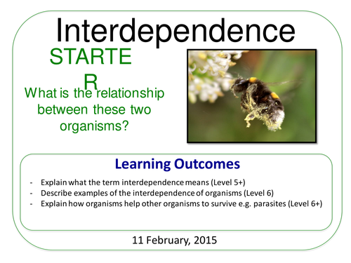 Grade 6-12: Interdependence (Plants & Ecosystems 7.6) | Teaching Resources
