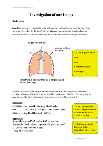Investigating our Lungs | Teaching Resources