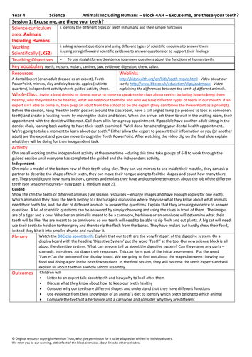 Year 4 Science Assessment: Animals, Including Humans by mrajlong - UK ...