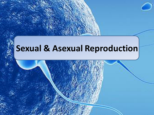 Sexual & Asexual Reproduction Lesson | Teaching Resources