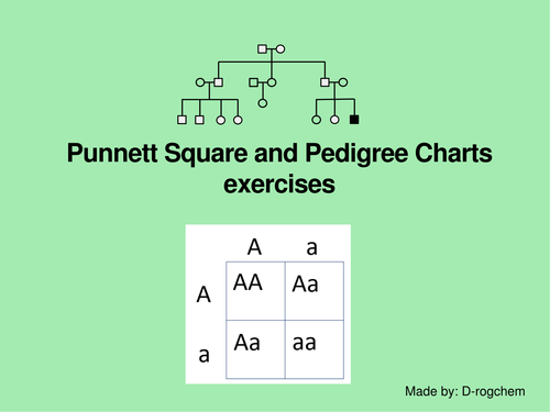 Biology: punnett square problems and interpretation of pedigree charts ...