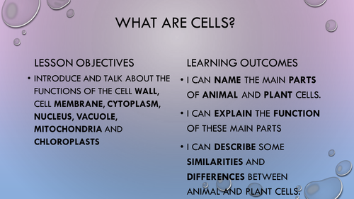 An introduction to plant and animal cells, with a whole class activity ...