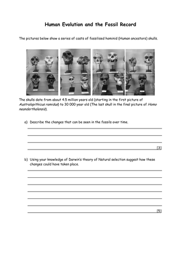 Biology: Human evolution and fossils | Teaching Resources