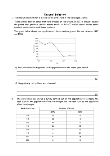 Biology: Natural selection | Teaching Resources