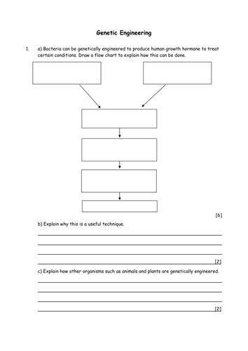 Biology: Genetic engineering | Teaching Resources