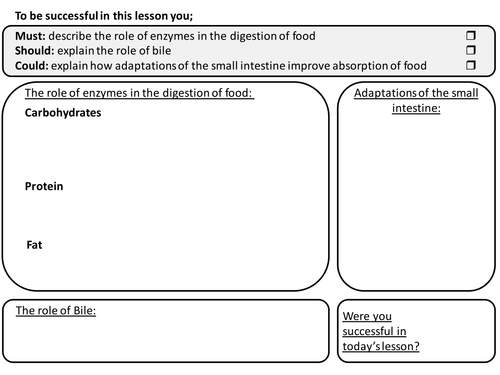 Enzymes, Bile and Villi Worksheet for GCSE (Edexcel) | Teaching Resources
