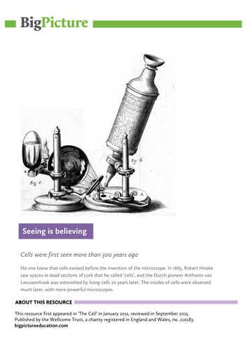 Electron microscope history information sheet for KS5 Biology ...