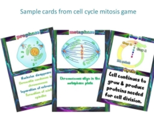 Cell Cycle Mitosis card game | Teaching Resources